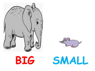 3rd grade Unit 3 __People I Love__.ppt