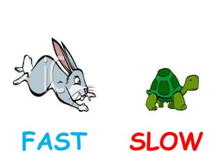 3rd grade Unit 3 __People I Love__.ppt