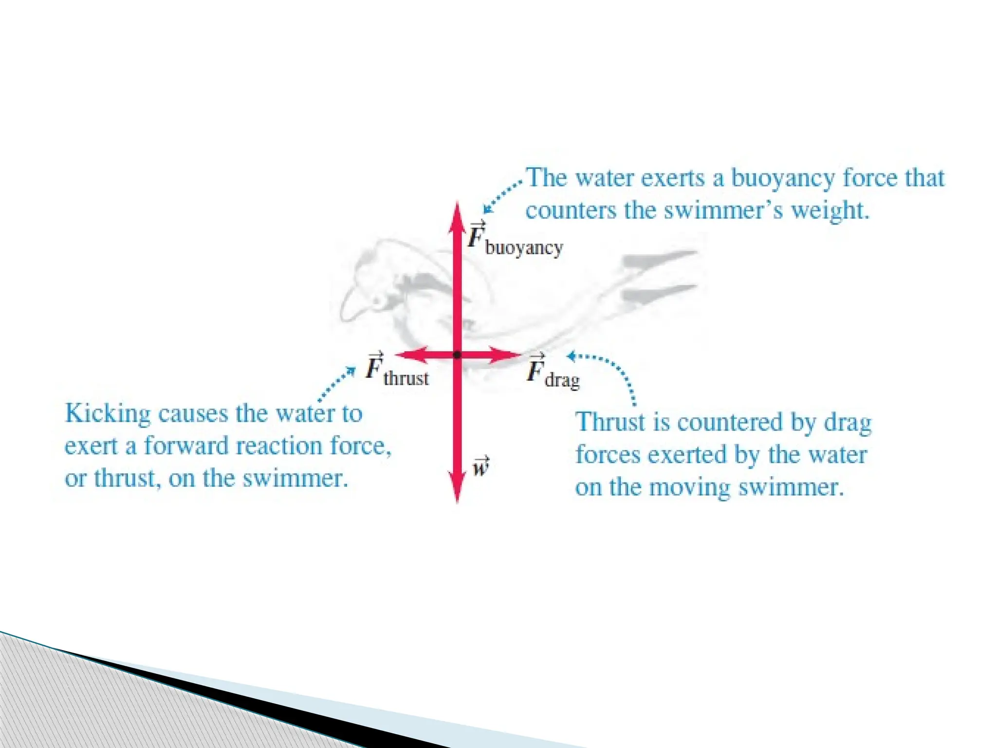 3rd law of motion for general physics 1.pptx