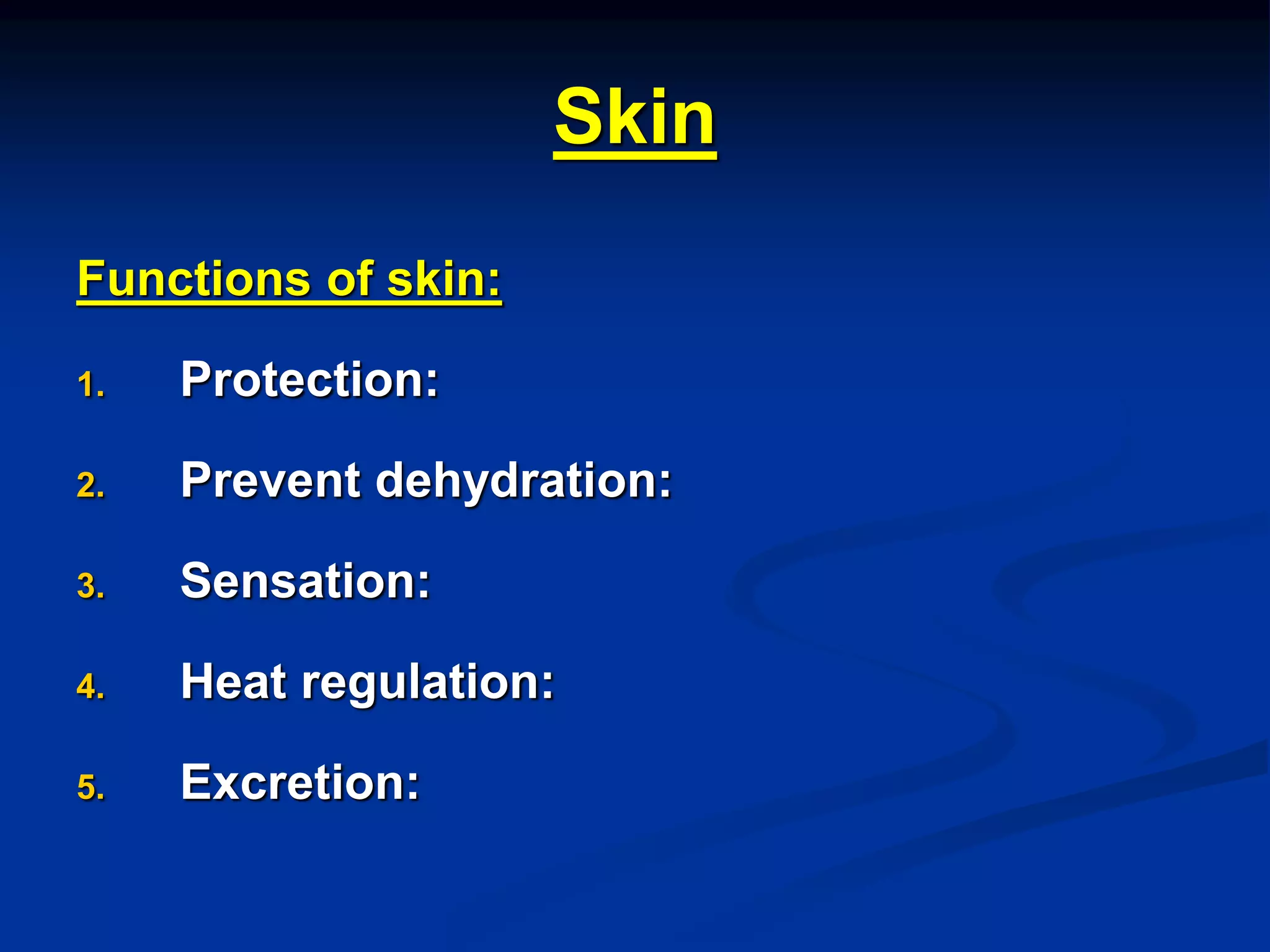 skin,fascia,vessels,lymphatics,nervous system,Dr.sabreen mahmoud | PPTX