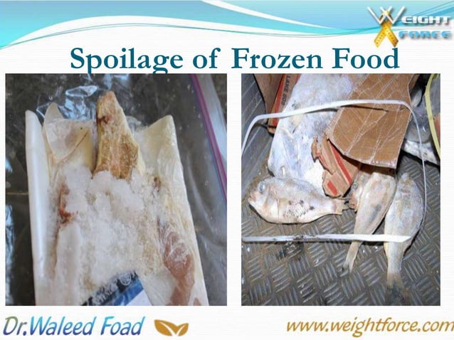 3rd lecture Signs of Food Spoilage | PPTX | Chemistry | Science