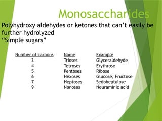 3rd lecture CARBOHYDRATES AND ITS CLASSIFICATION.pptx