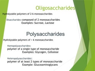 3rd lecture CARBOHYDRATES AND ITS CLASSIFICATION.pptx