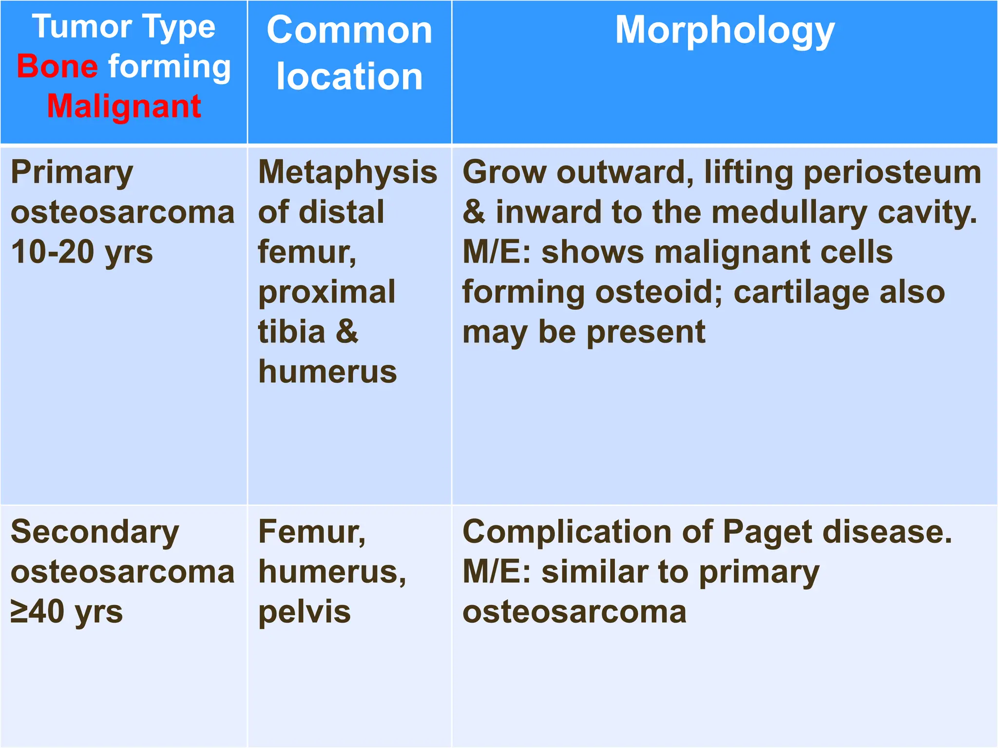 3rd_lecture_Laila_Diseases_of_Bone_and_Joints ...