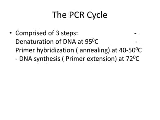 3rd lecture PCR-Presentation.ppt