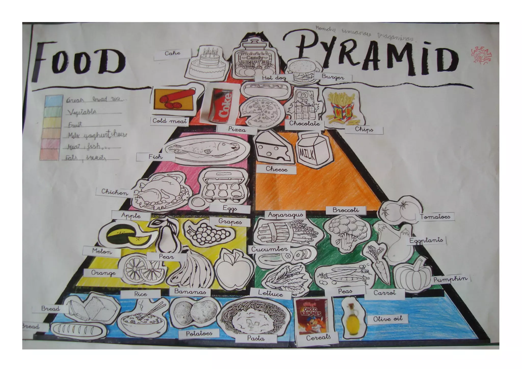 3rd level food pyramid project | PDF