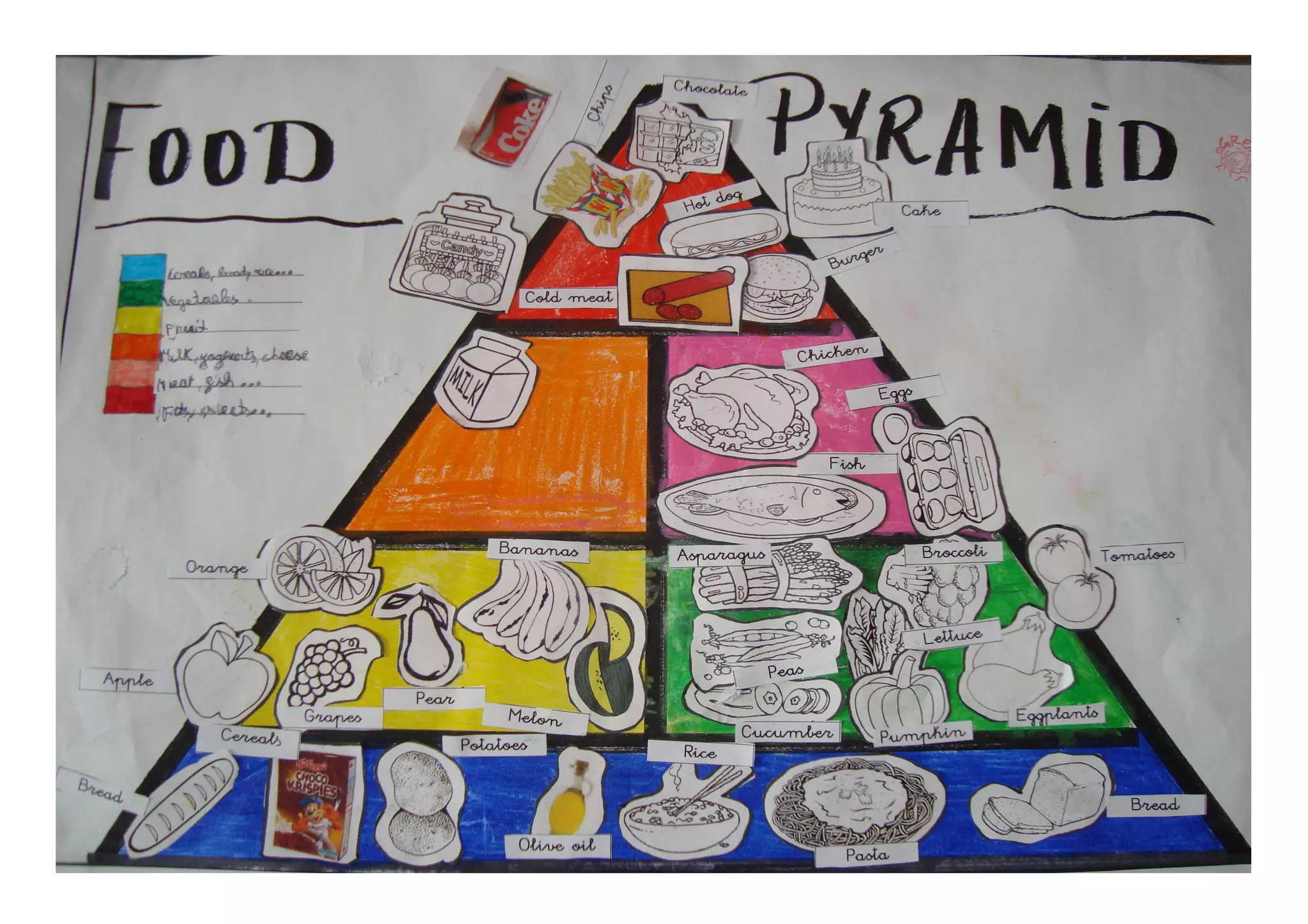 3rd level food pyramid project | PDF
