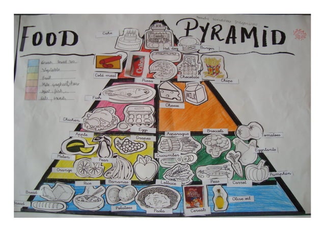 3rd level food pyramid project | PDF