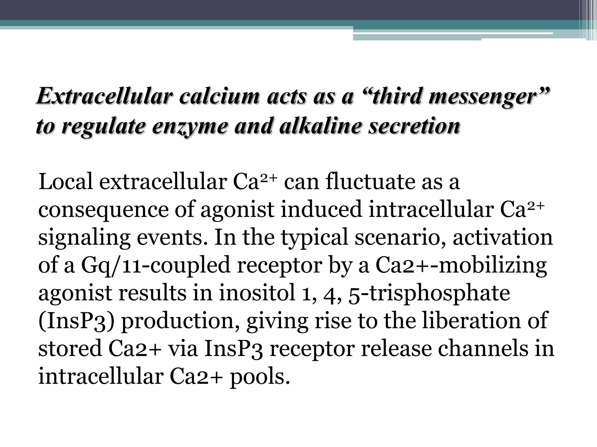 CELL SIGNALING: 3rd messenger action of calcium ion (Ca+2) | PPTX