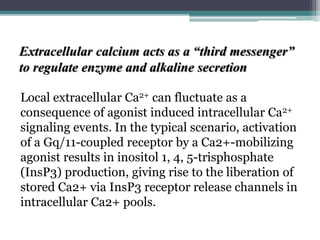 CELL SIGNALING: 3rd messenger action of calcium ion (Ca+2) | PPTX