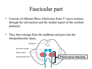 3rd nerve- oculomotor nerve and it's disorders.pptx