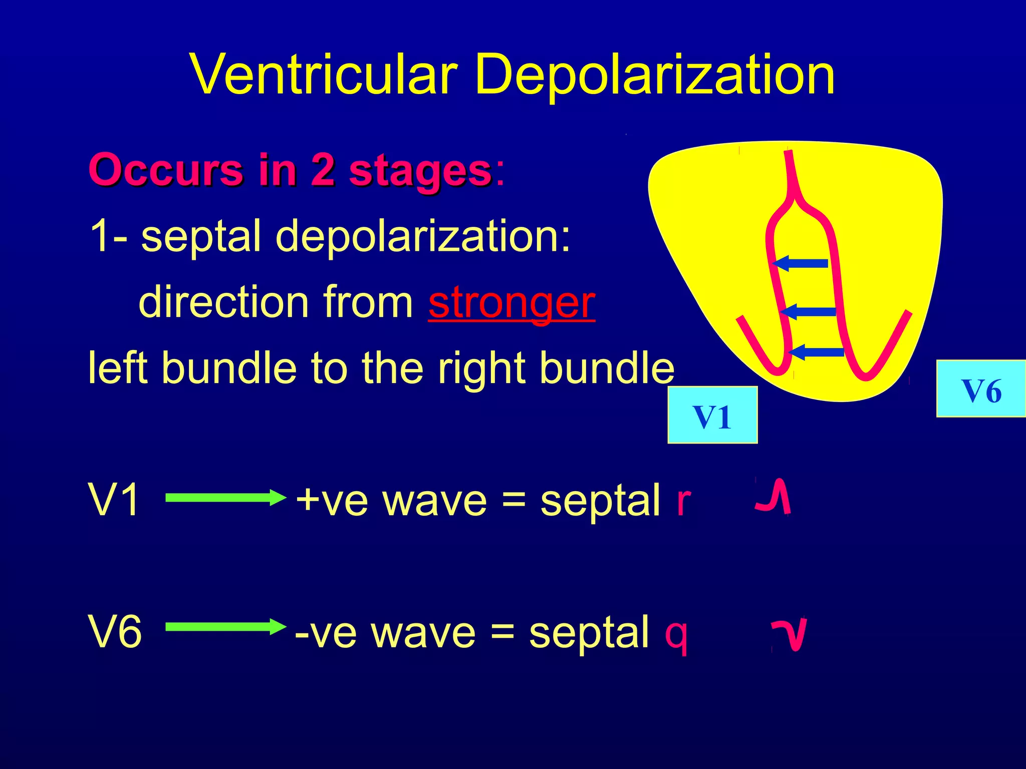 3rd part ECG Basics QRS complex Dr Salah Mabrouk Khallaf | PPT
