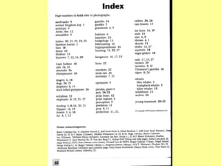 Book Index Example For Kids