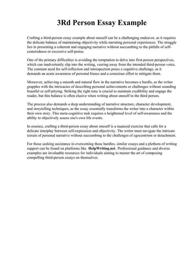 3Rd Person Essay Example. Tennessee College of Applied Technology ...