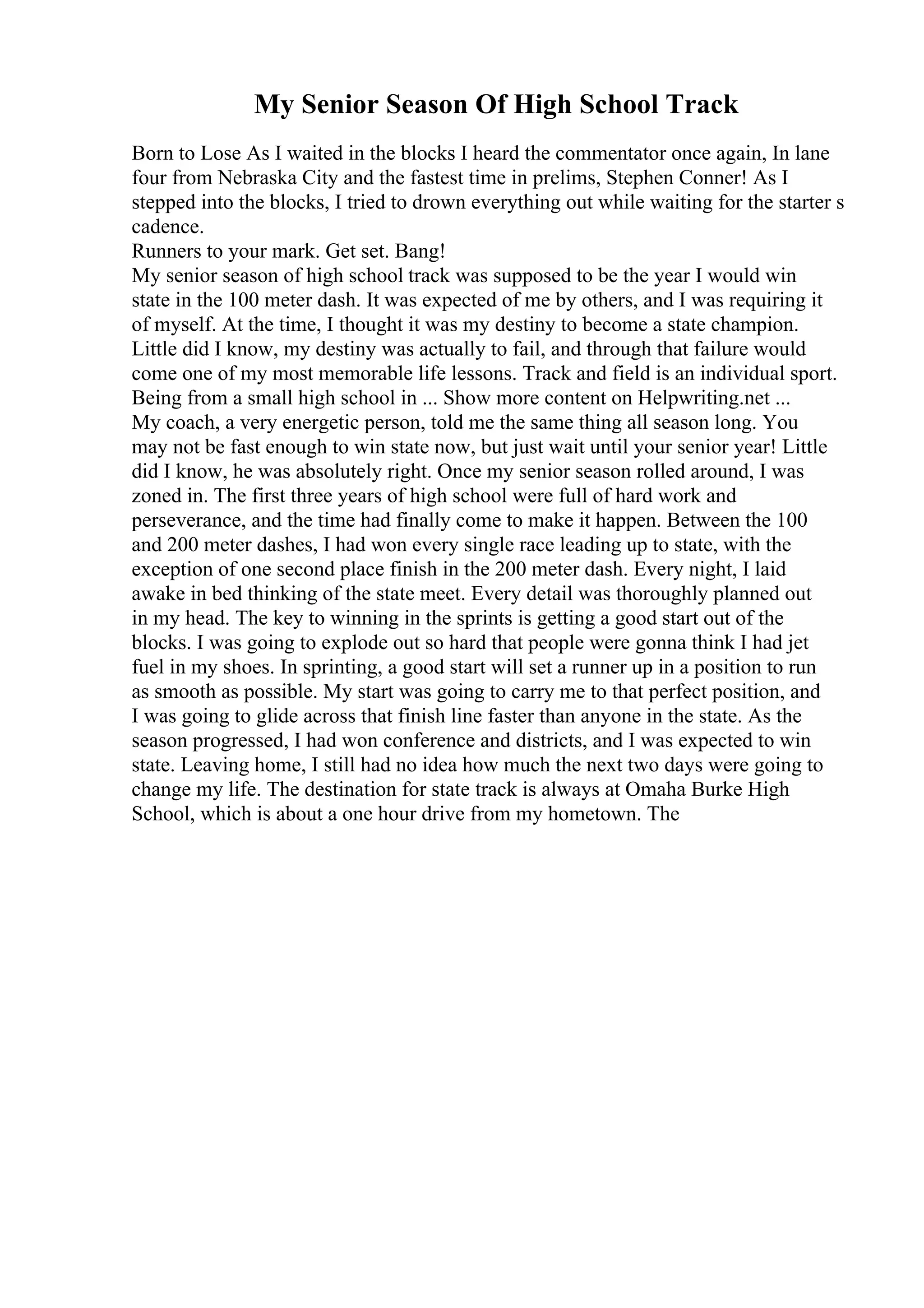 3Rd Person Essay Example.pdf