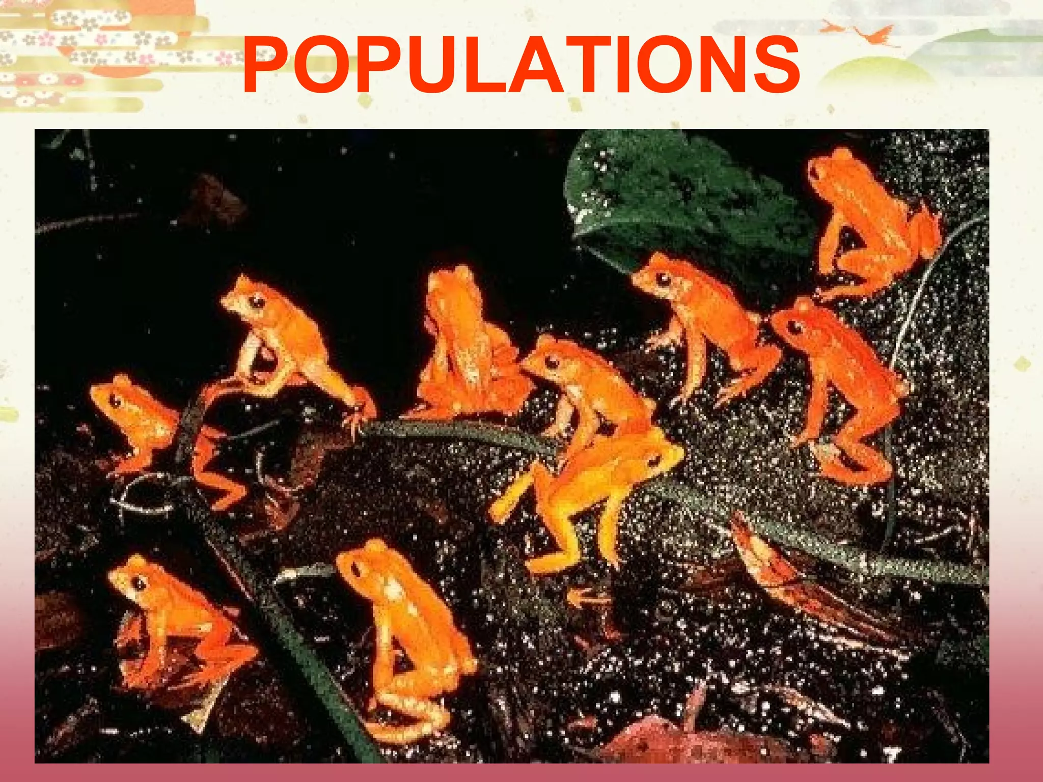 AP Biology population ecology | PPT | Biological Sciences | Science