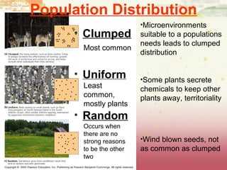 AP Biology population ecology | PPT