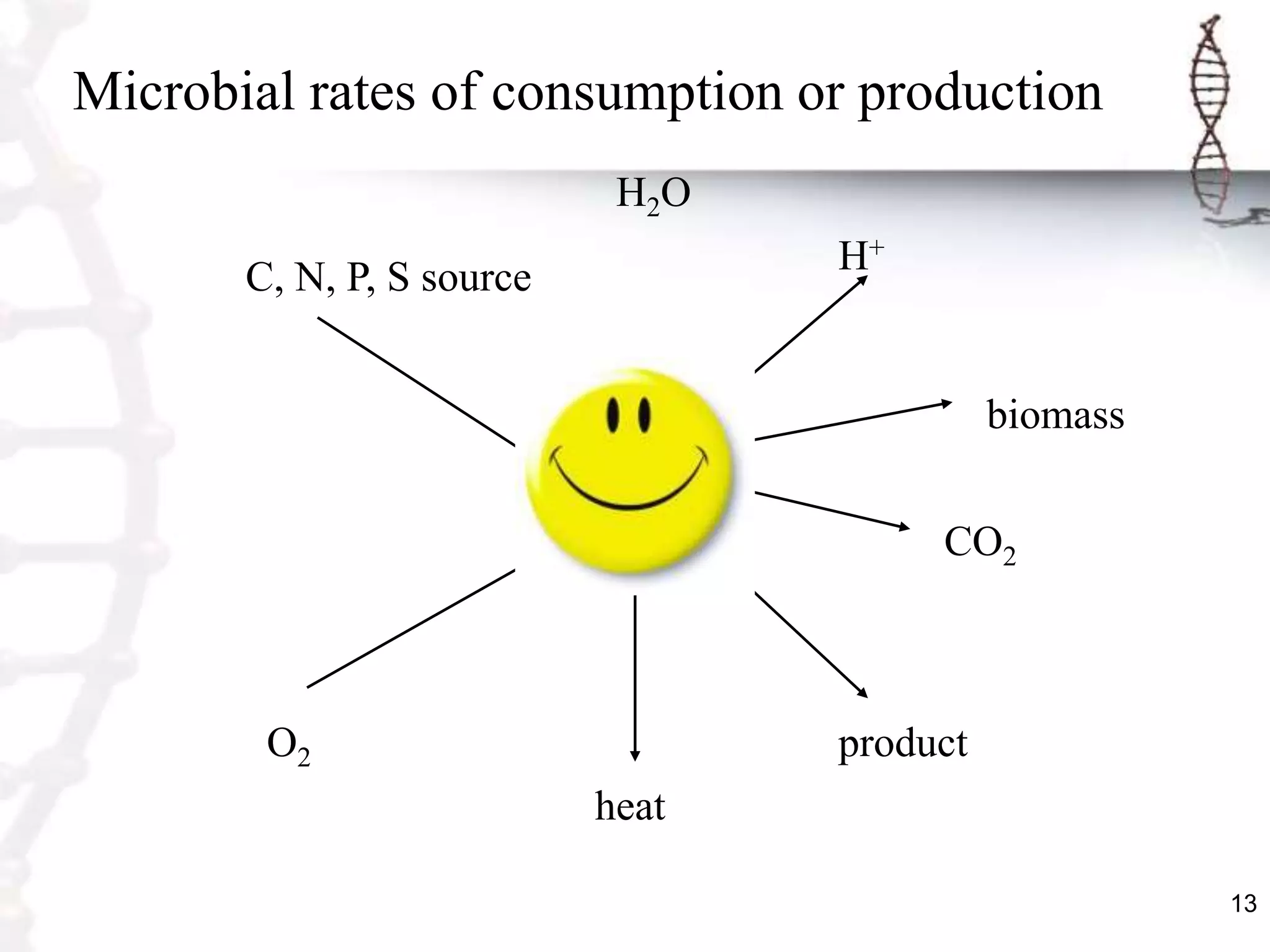 fermentation technology | PPT