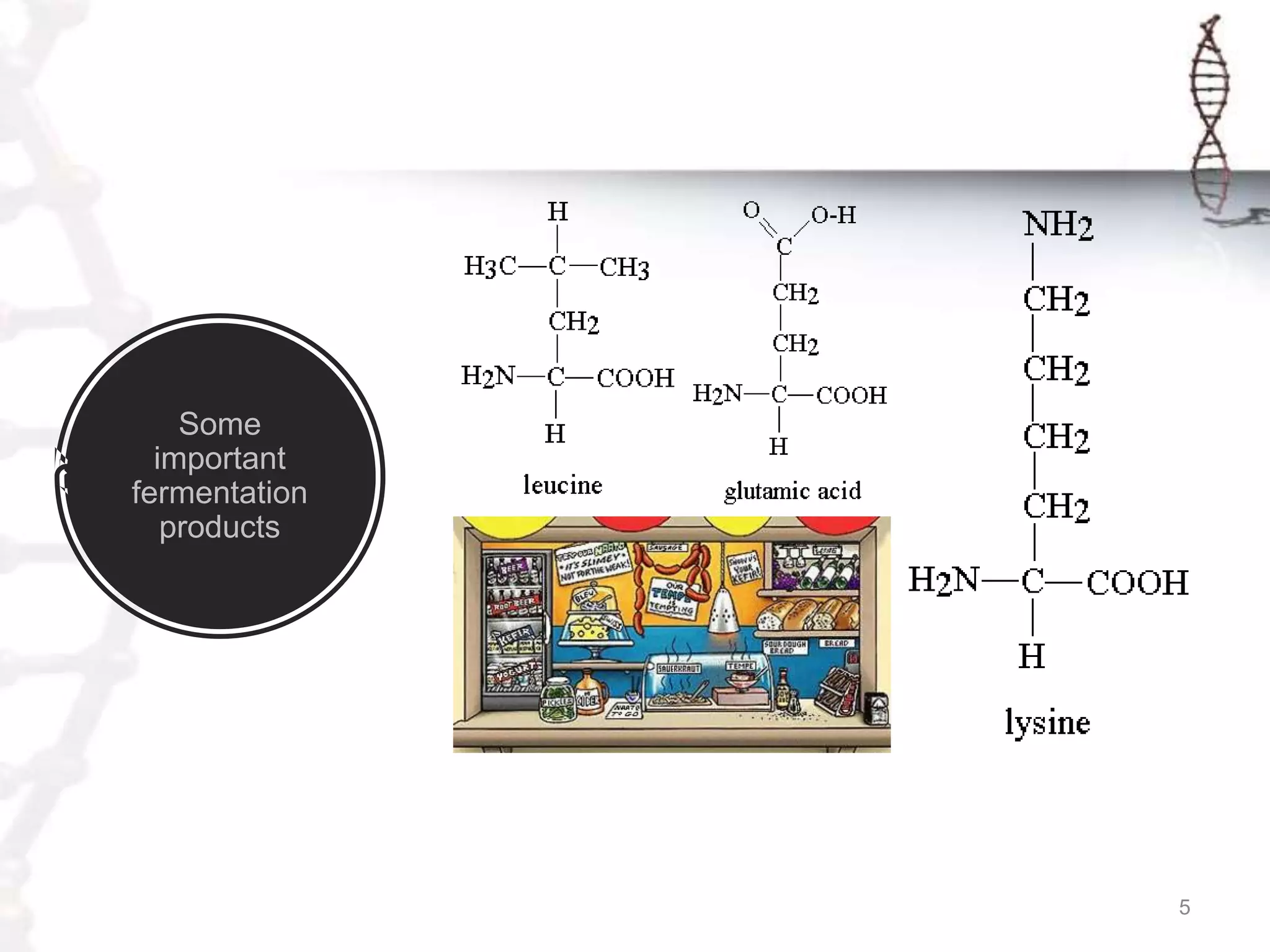 fermentation technology | PPT