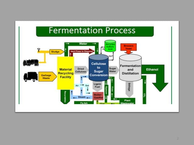 fermentation technology | PPT