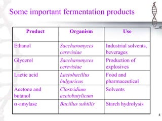 fermentation technology | PPT