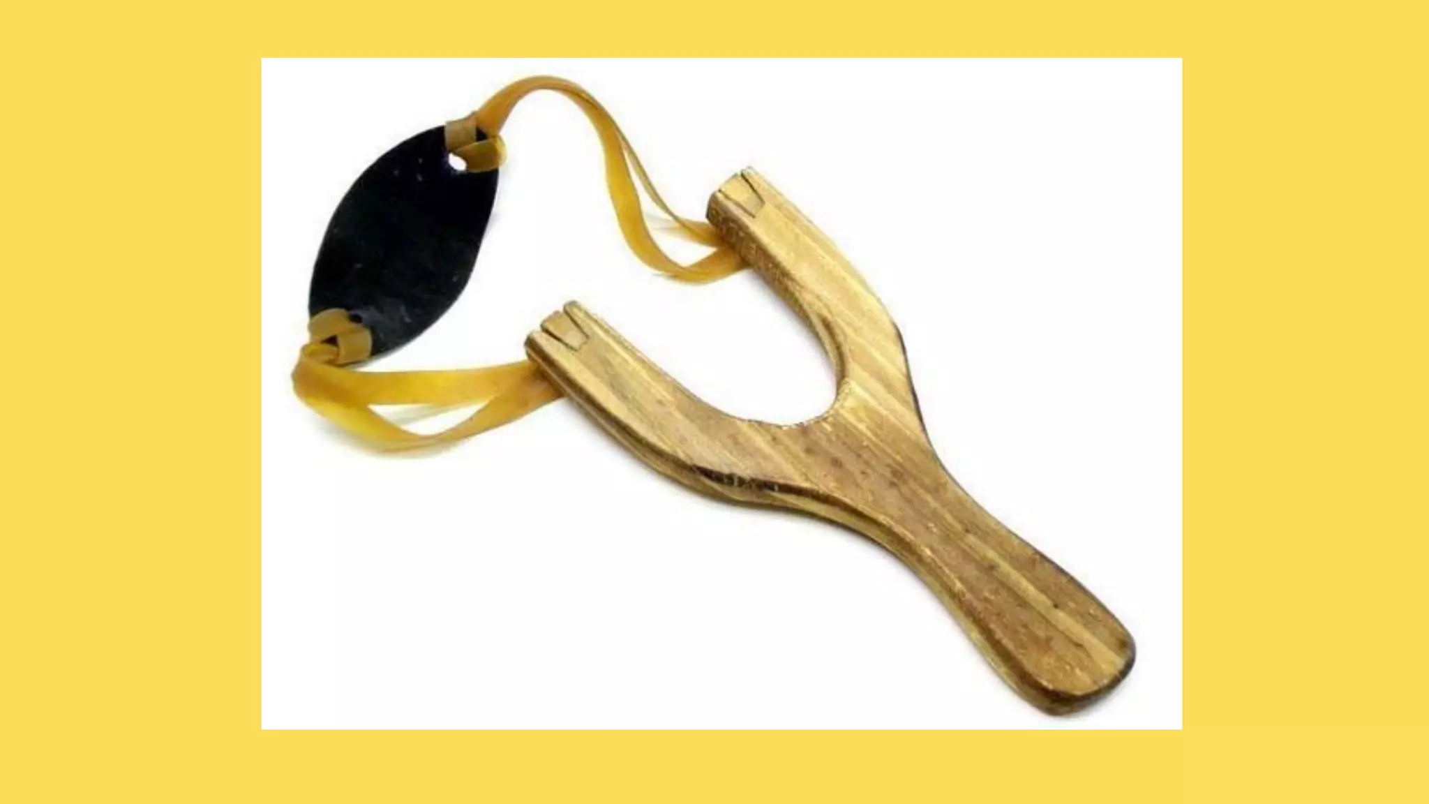 Investigating force and motion | PDF