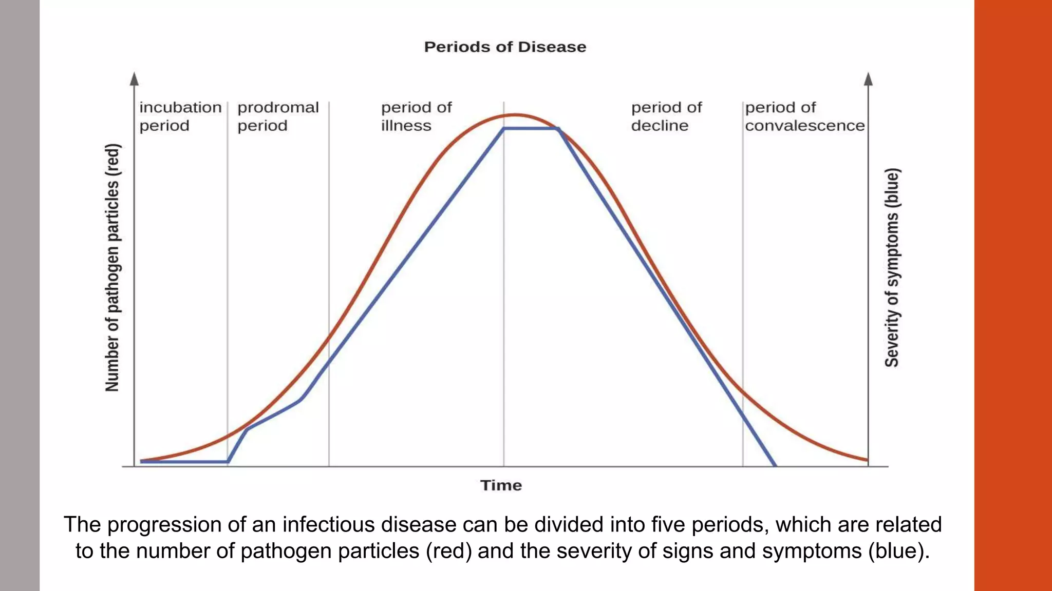 Stages of Infection | PPTX