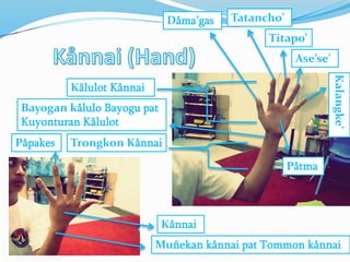 3rd quarter chamoru project | PPTX | Death, Injury, or Military Conflict | Sensitive Topics