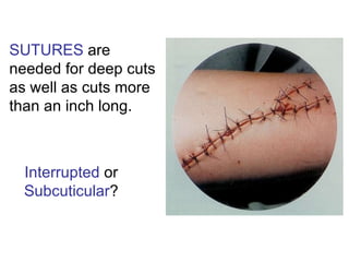 3rd Quarter Notes | PPT