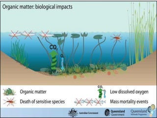 Presentation about chemical examination of water | PPT