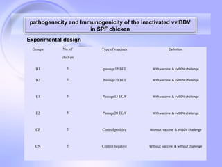 Molecular characterisation, attenuation and inactivation of very ...