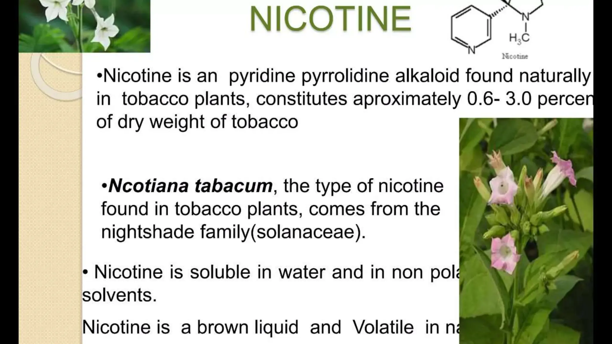 3rd SEM Alkaloids- Structure _ Properties_ Applications _.pptx
