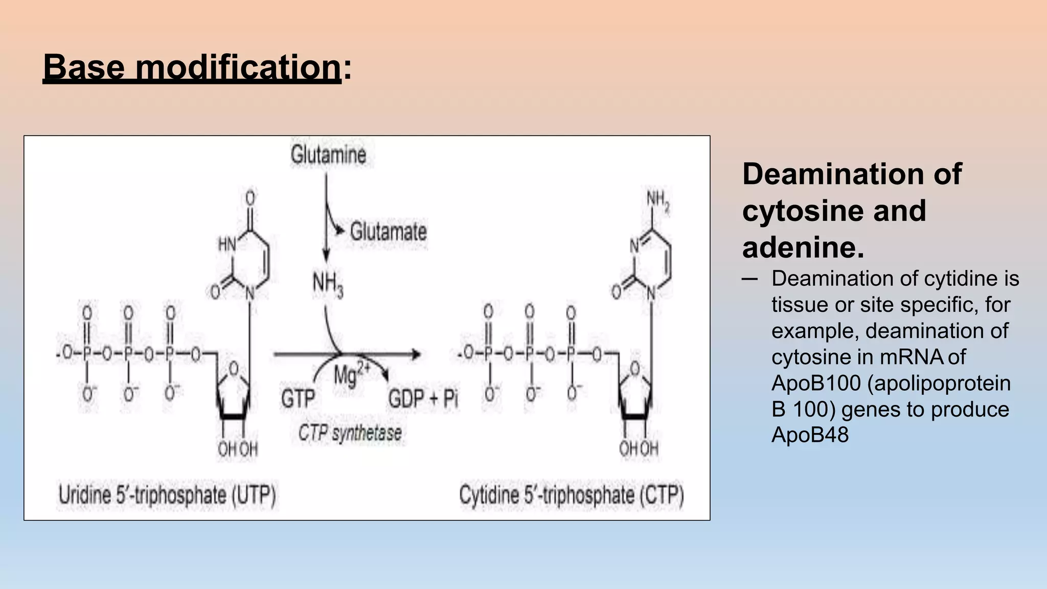 cell and molecular.pptx