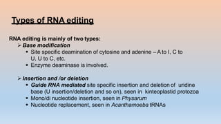 cell and molecular.pptx