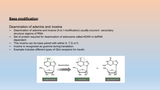cell and molecular.pptx