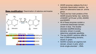 cell and molecular.pptx