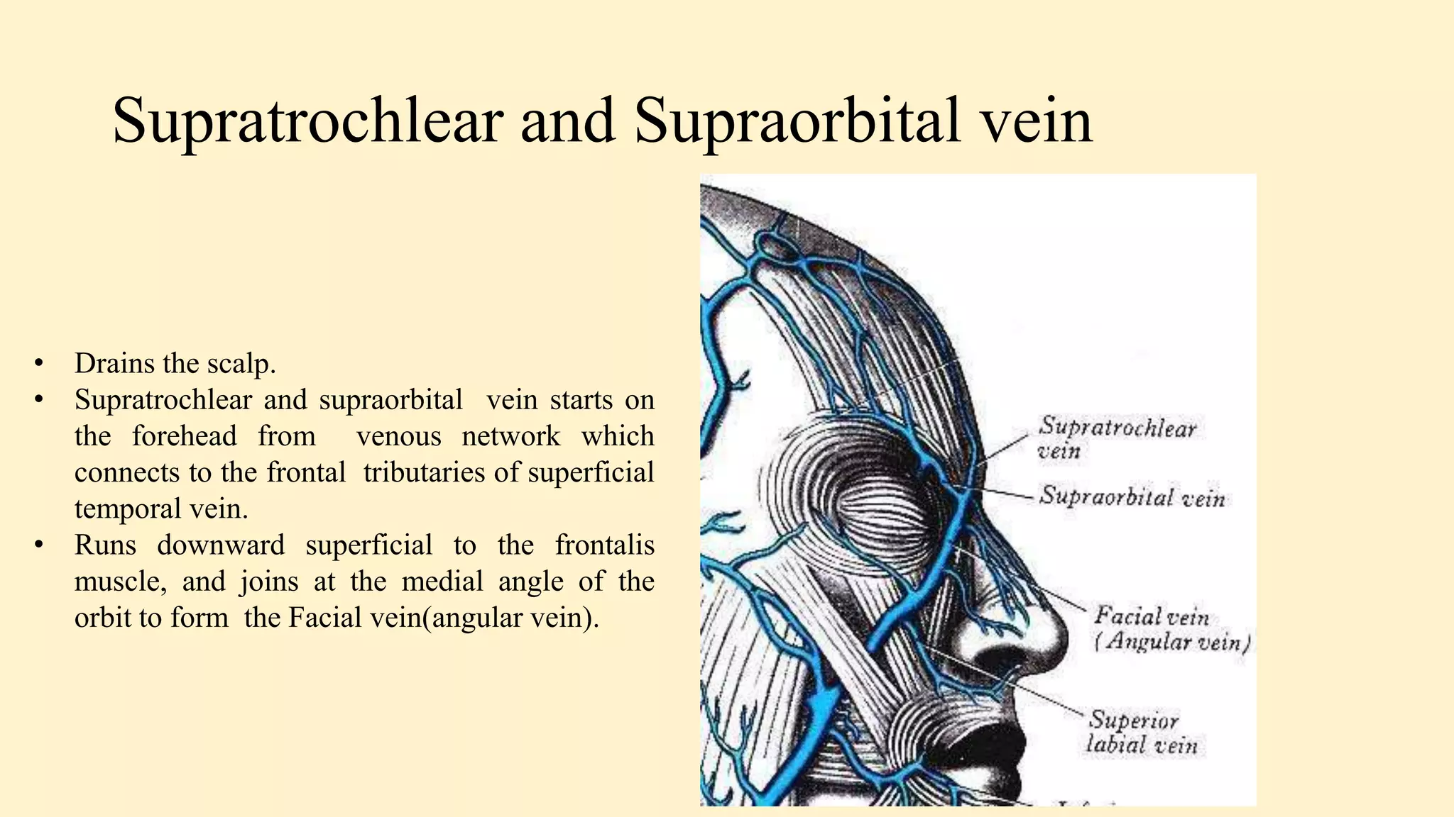 Surgical implications of venous drainage of face and neck | PPTX