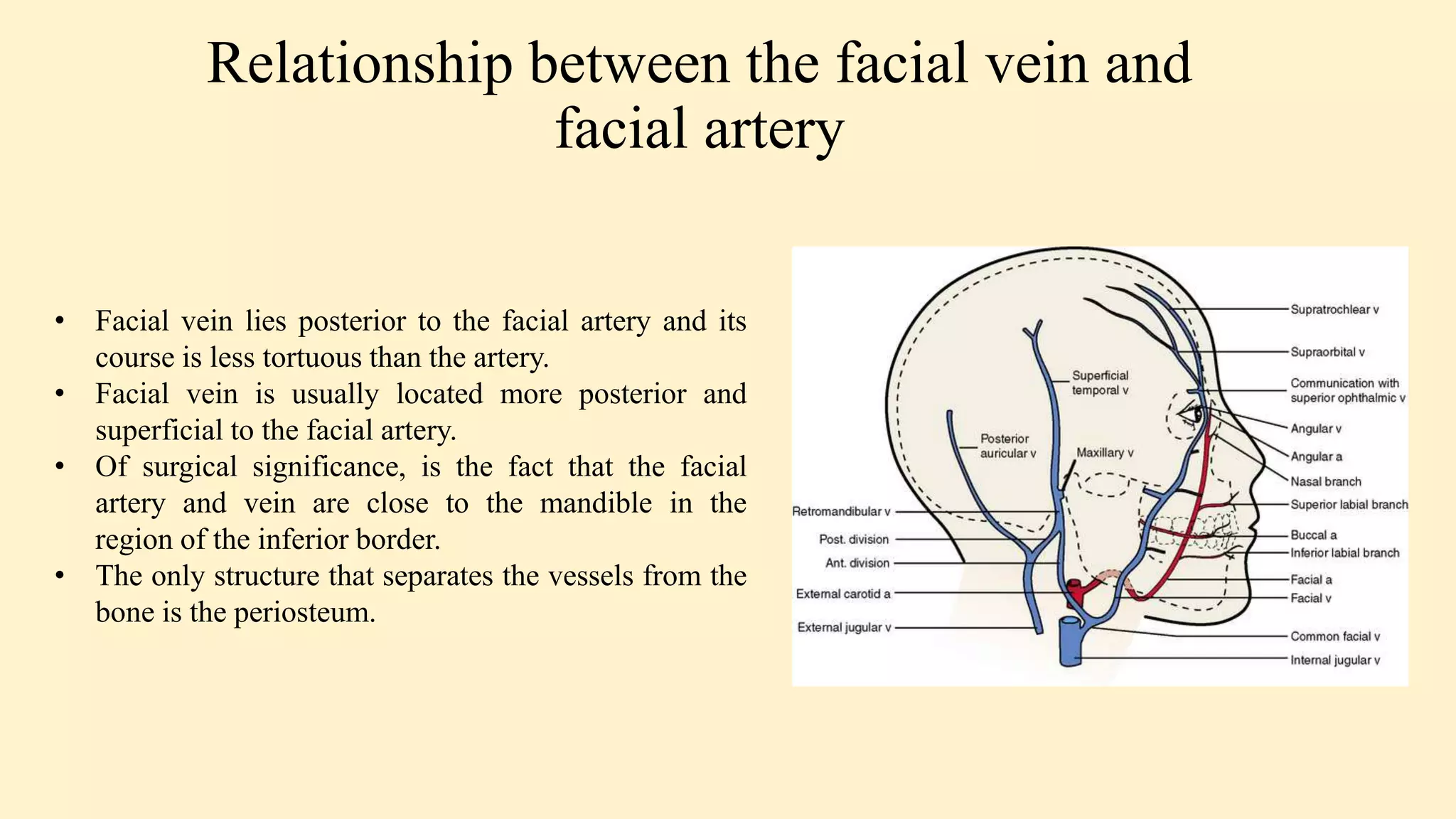 Surgical implications of venous drainage of face and neck | PPTX