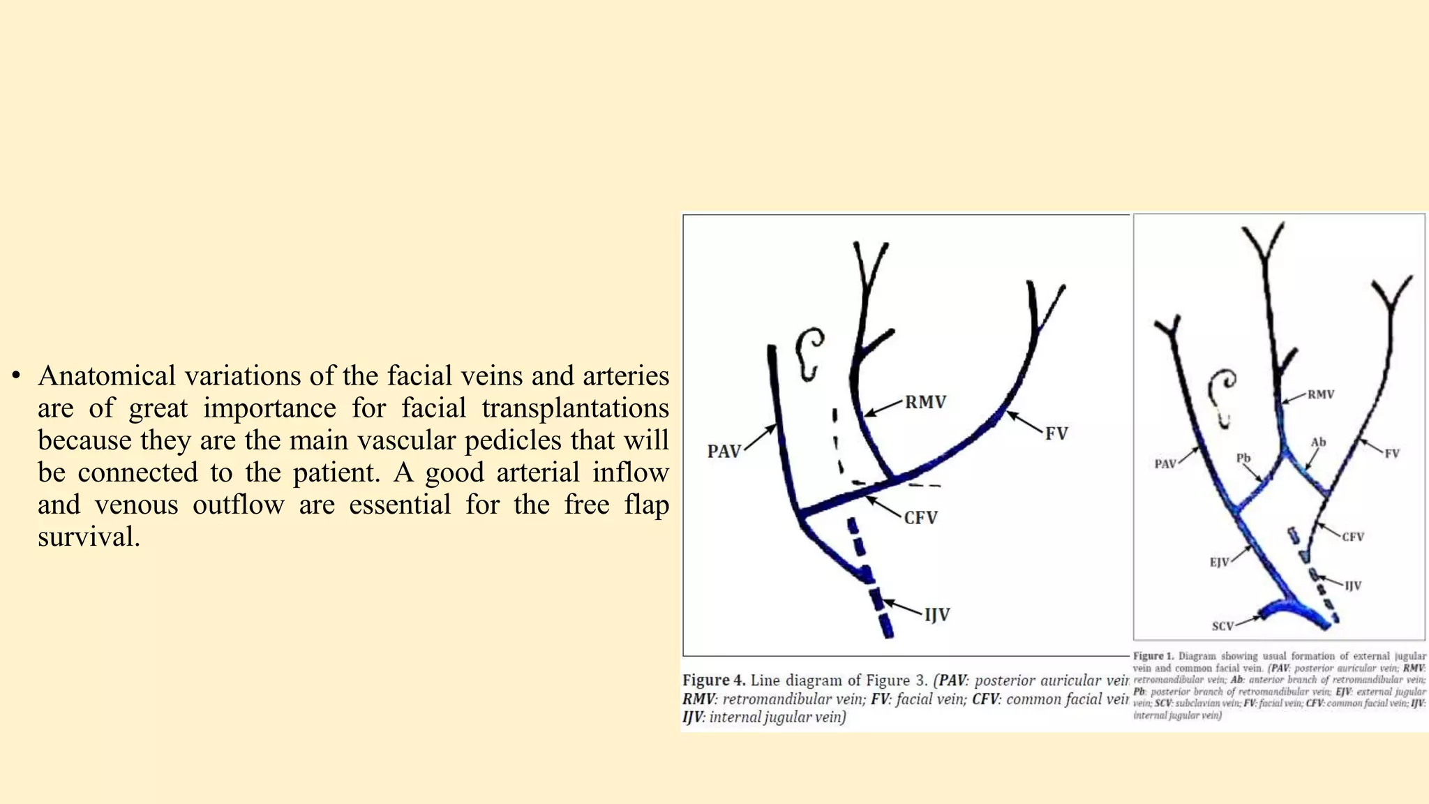Surgical implications of venous drainage of face and neck | PPTX