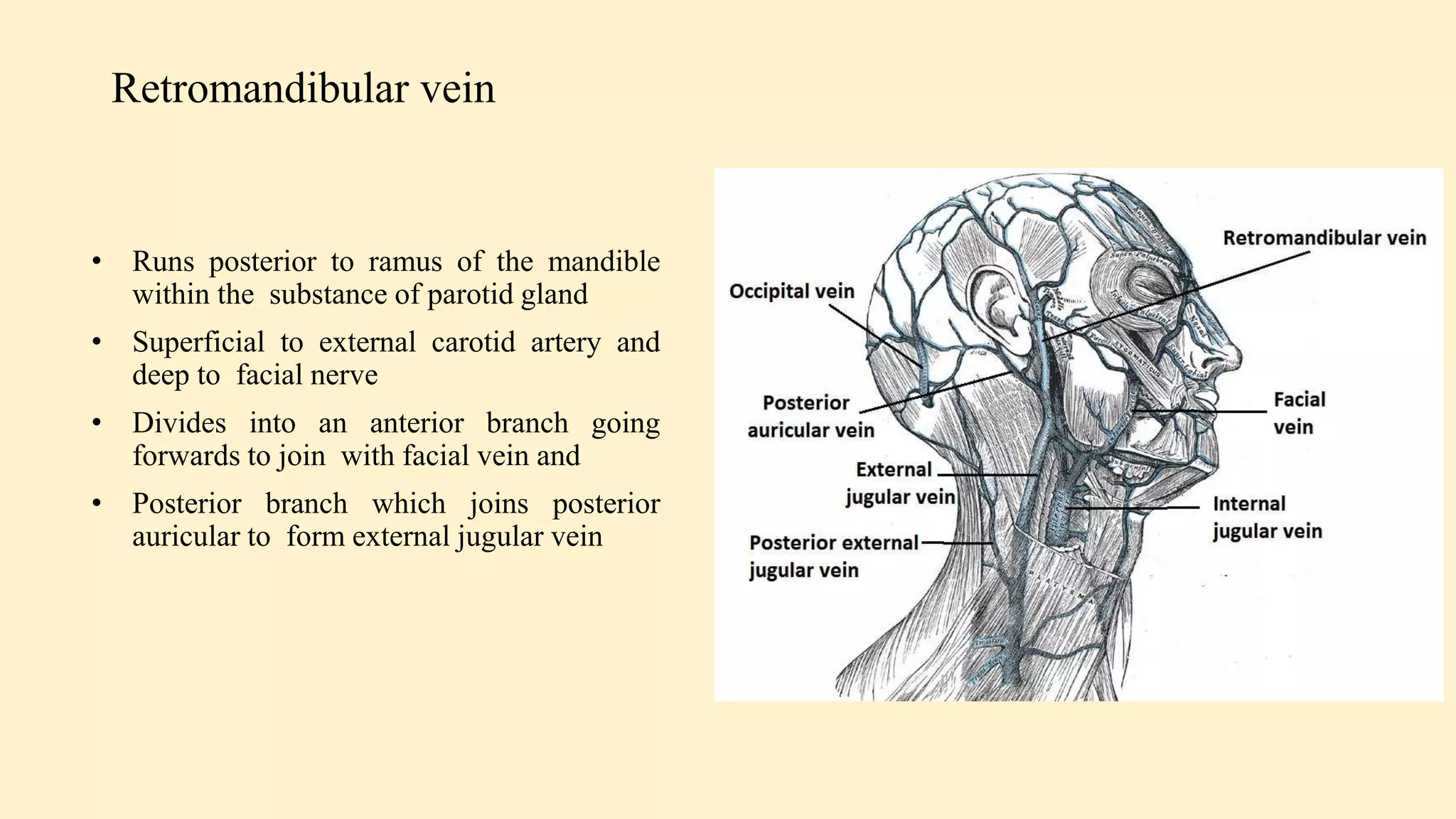 Surgical implications of venous drainage of face and neck | PPTX