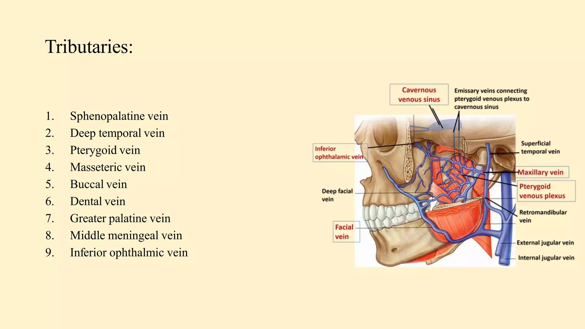 Surgical implications of venous drainage of face and neck | PPTX