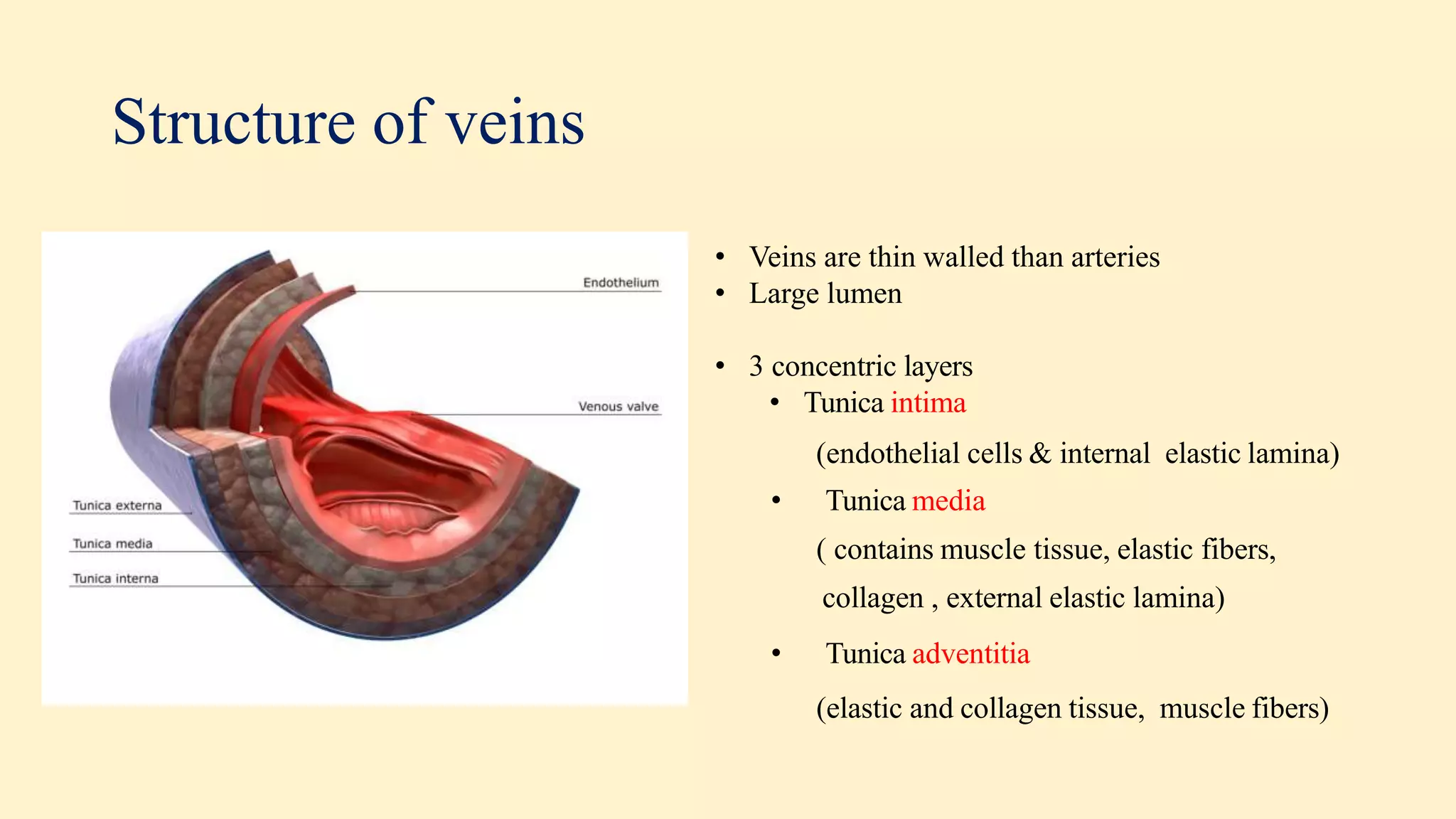 Surgical implications of venous drainage of face and neck | PPTX