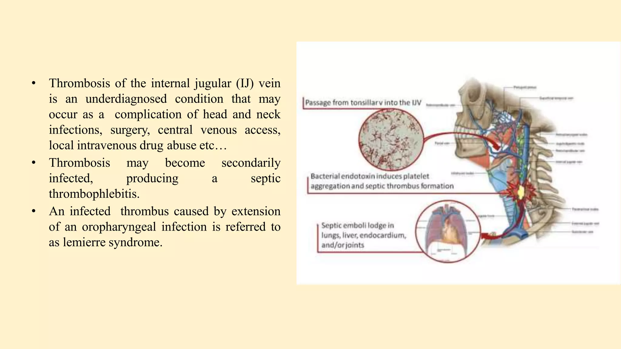 Surgical implications of venous drainage of face and neck | PPTX