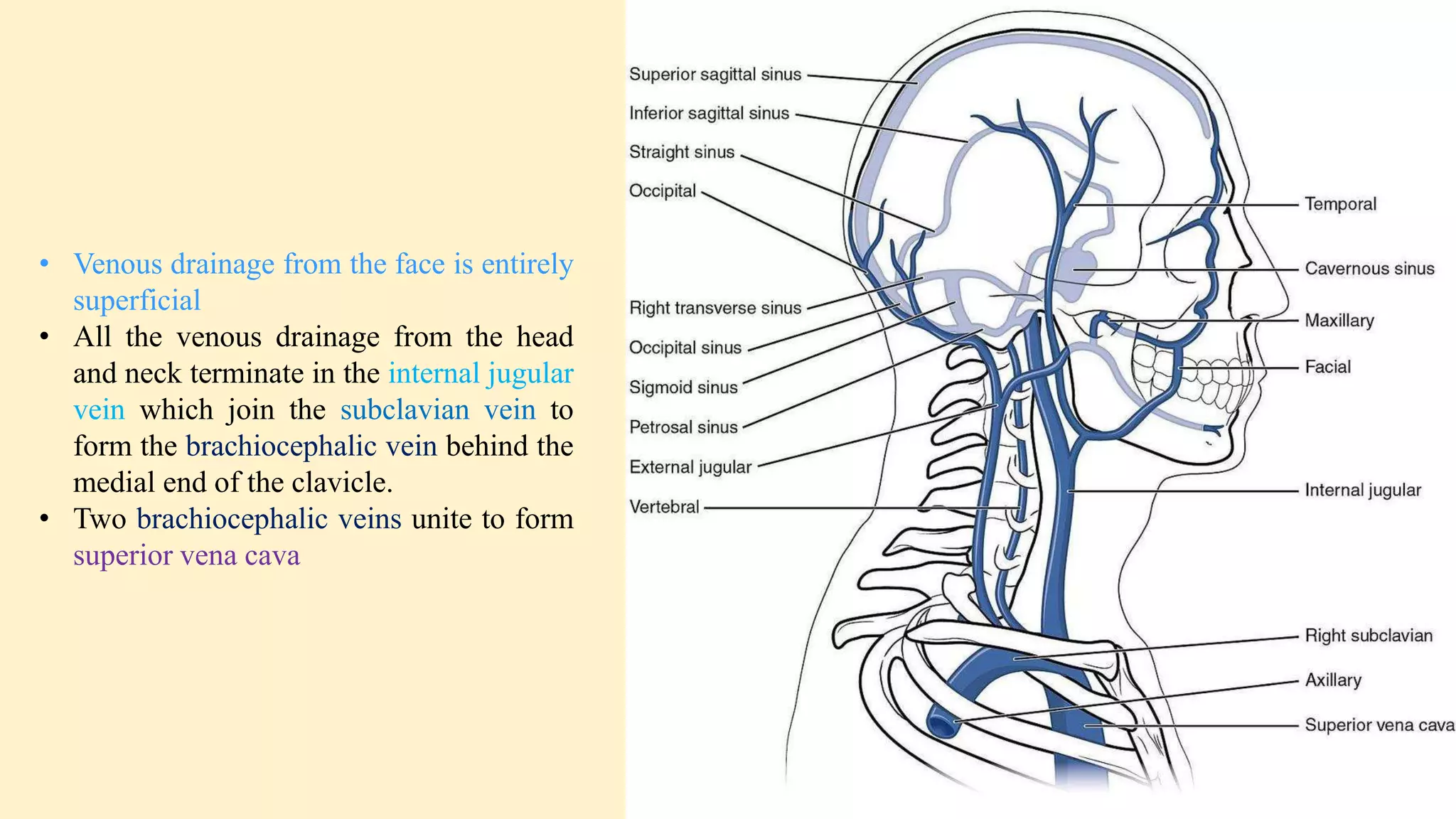 Surgical implications of venous drainage of face and neck | PPTX