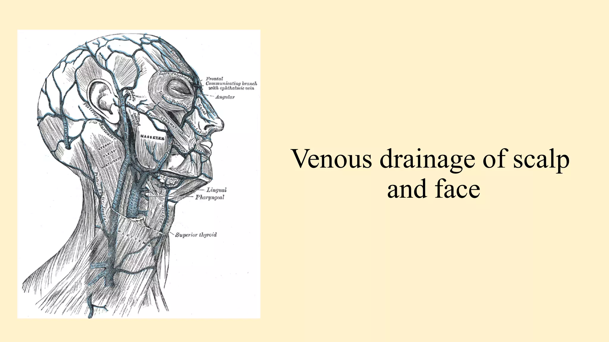 Surgical implications of venous drainage of face and neck | PPTX