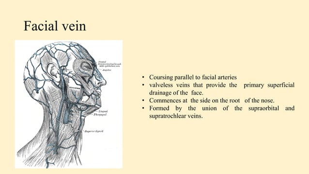 Surgical implications of venous drainage of face and neck | PPTX