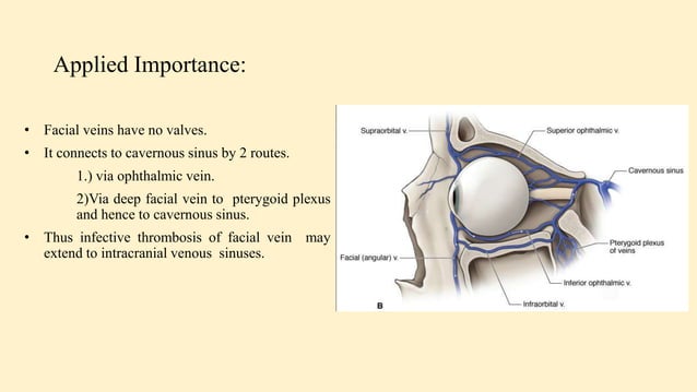 Surgical implications of venous drainage of face and neck | PPTX