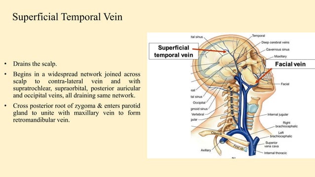 Surgical implications of venous drainage of face and neck | PPTX