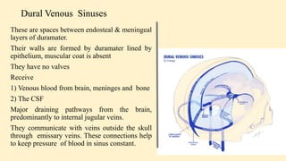 Surgical implications of venous drainage of face and neck | PPTX