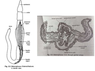 3rd sem practical 1.pptx